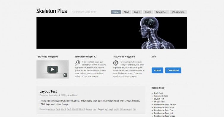 WordPress Theme – Skeleton plus – FORBETTERWEB.COM